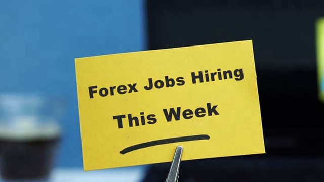 NAGA, IC Markets and Other 5 Companies are Hiring Now - BrokersView