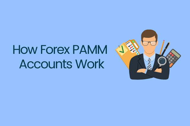 How Forex PAMM Accounts Work - BrokersView