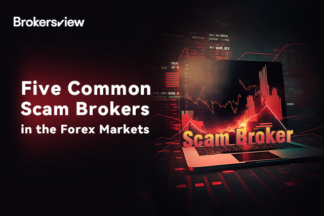 Five Common Scam Brokers in the Forex Markets - BrokersView